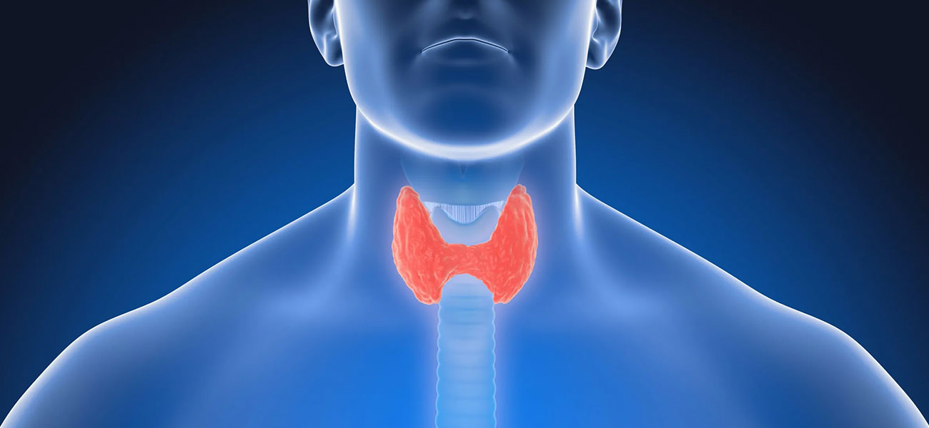 Goiter (Thyroid Gland Enlargement) - Prof. Dr. Gediz Murat Serin